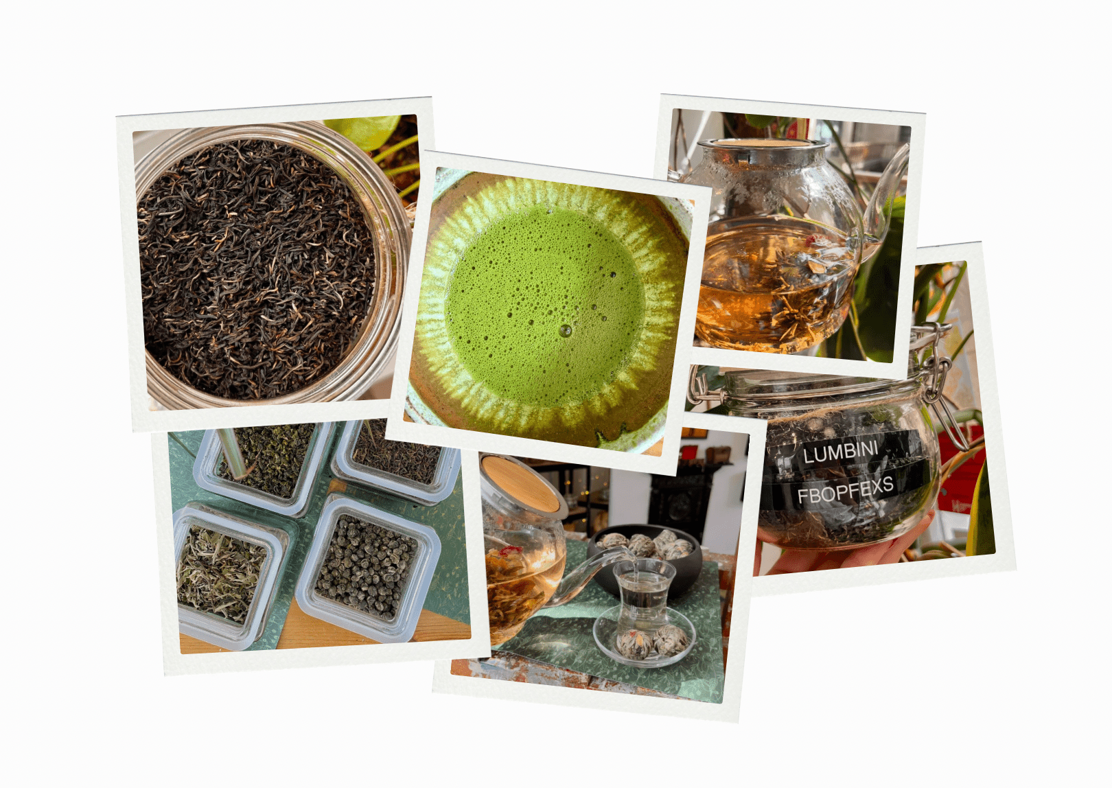 Organic Loose Leaf Teas – Certified Caffeine & Herbal Blends – Porter ...