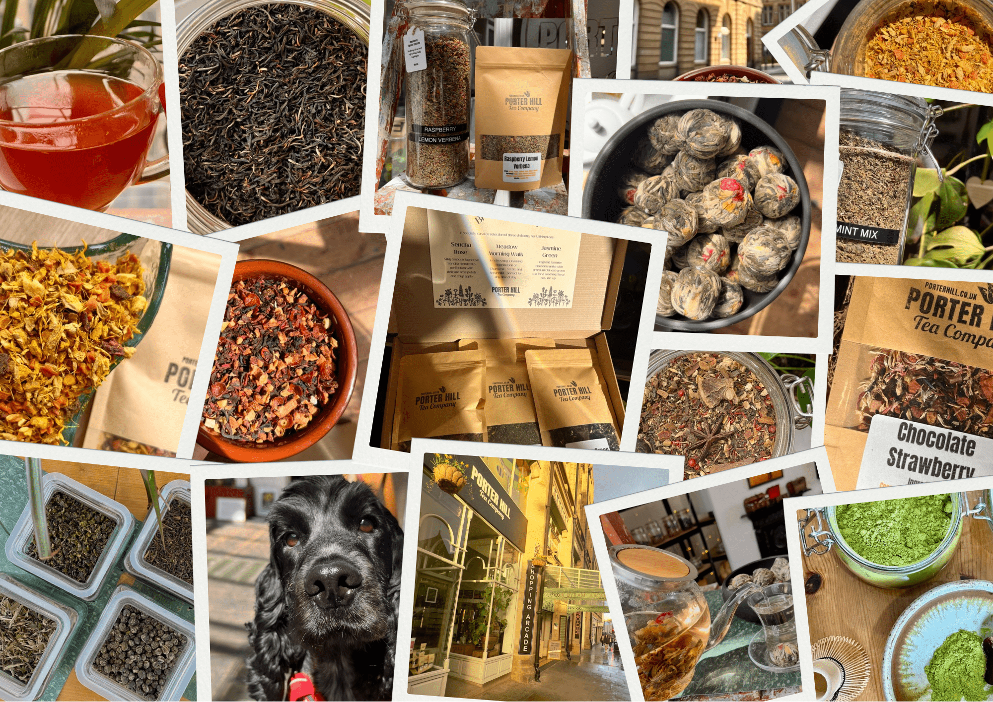 Browse Our Full Range of Loose Leaf Teas & Herbal Infusions – Porter ...