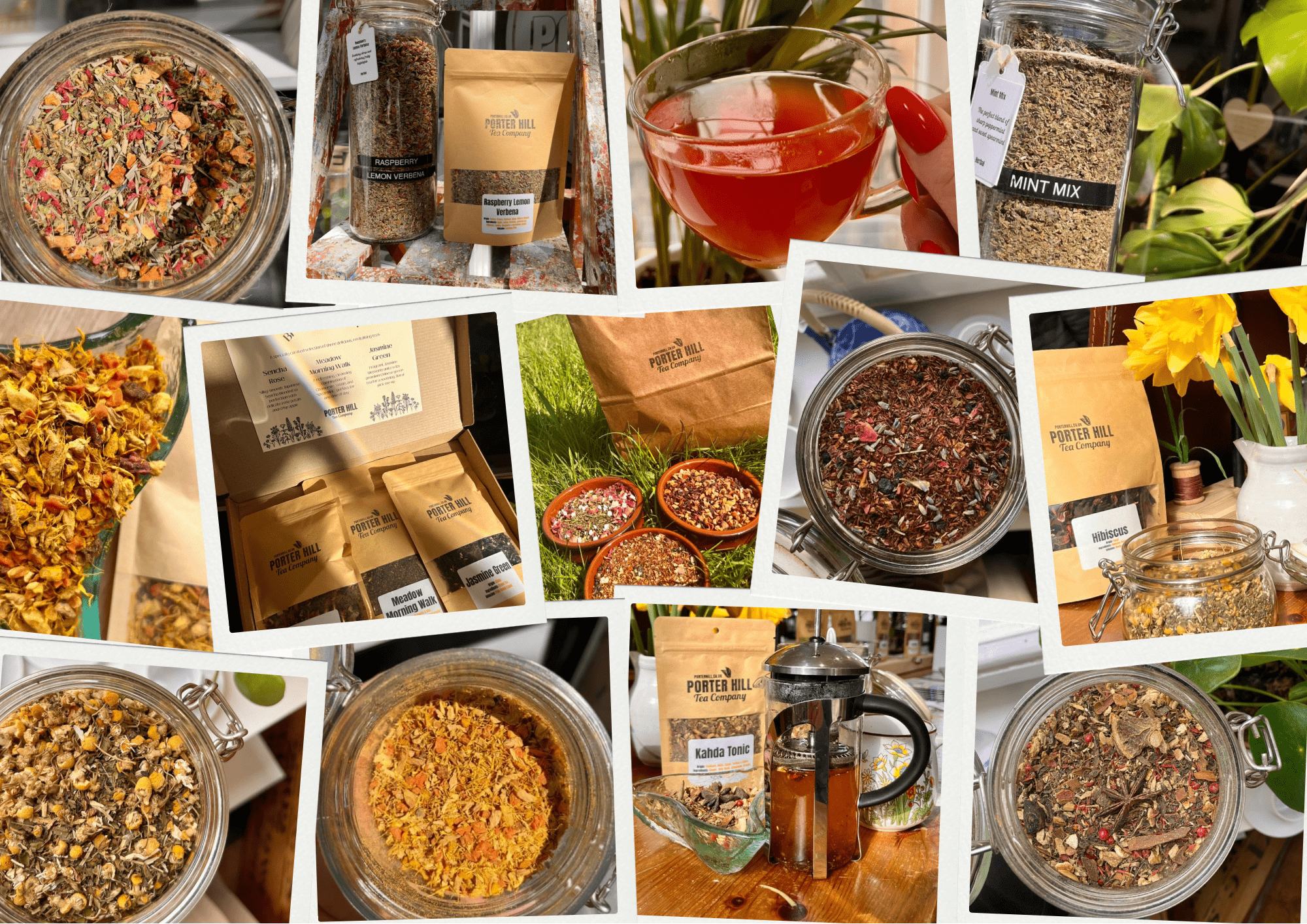 Winter Wellness Loose Leaf Teas – Immune-Supporting Brews – Porter Hill ...