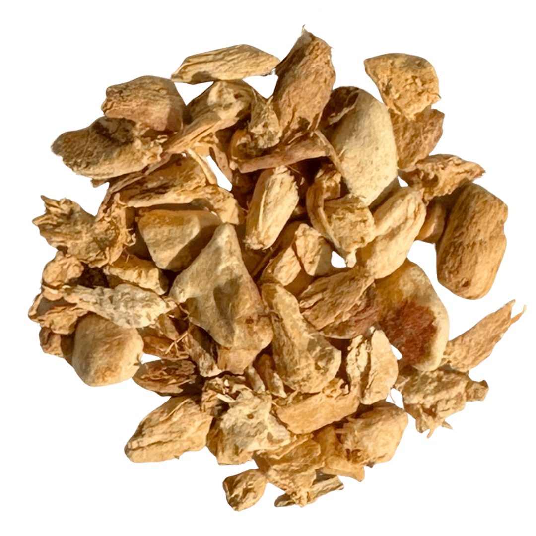 Thai Ginger Root | Herbal Tea | Porter Hill – Porter Hill Tea Company